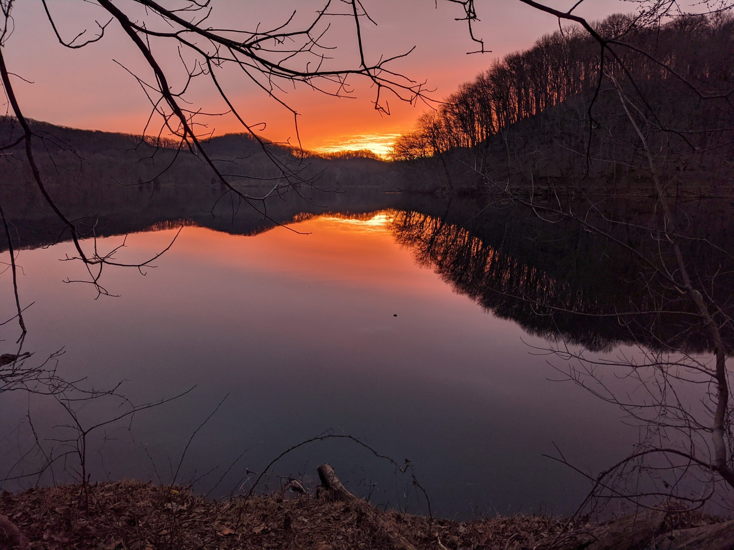 Pictures of the Day - 02/06/2021 - Friends of Radnor Lake