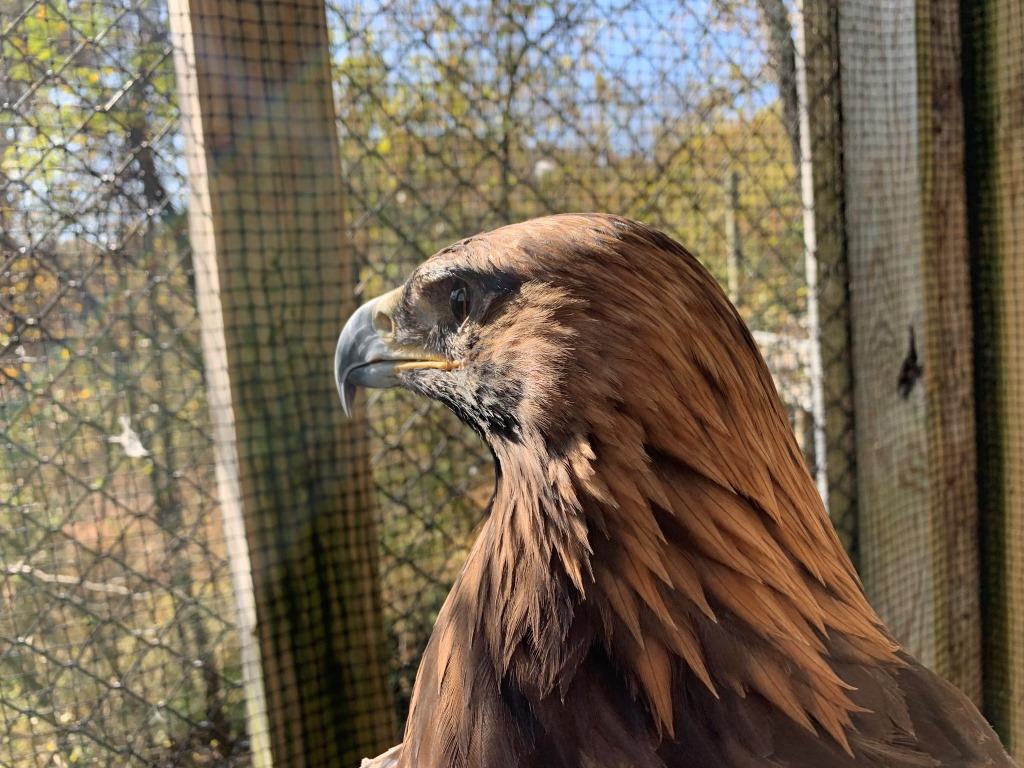 Rachel Carson Day at the Barbara J. Mapp Aviary Education Center (May ...