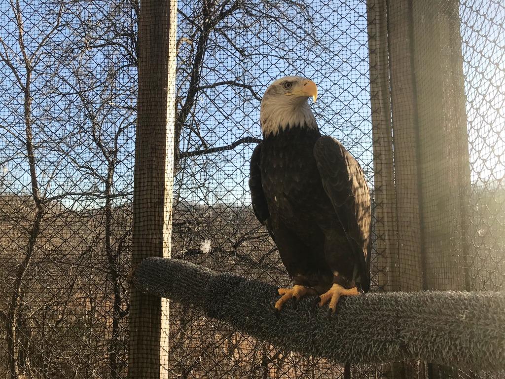 Rachel Carson Day at the Barbara J. Mapp Aviary Education Center (May ...