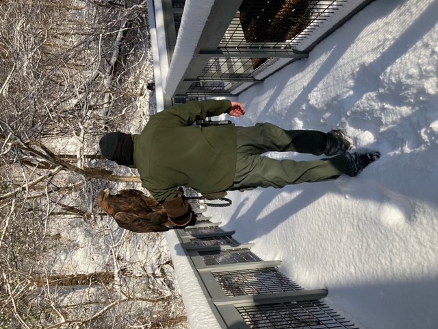 Barbara J. Mapp Aviary Education Center Snow Update and Cold Weather ...