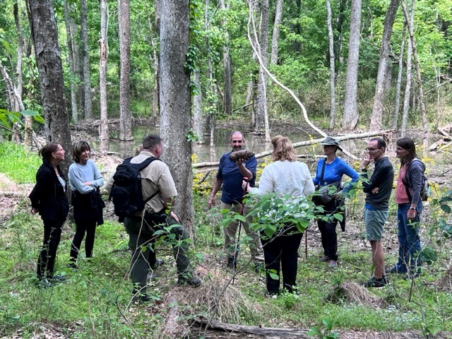 Exploring the patterns of beavers at Radnor Lake with Dr. Robert Loeb ...