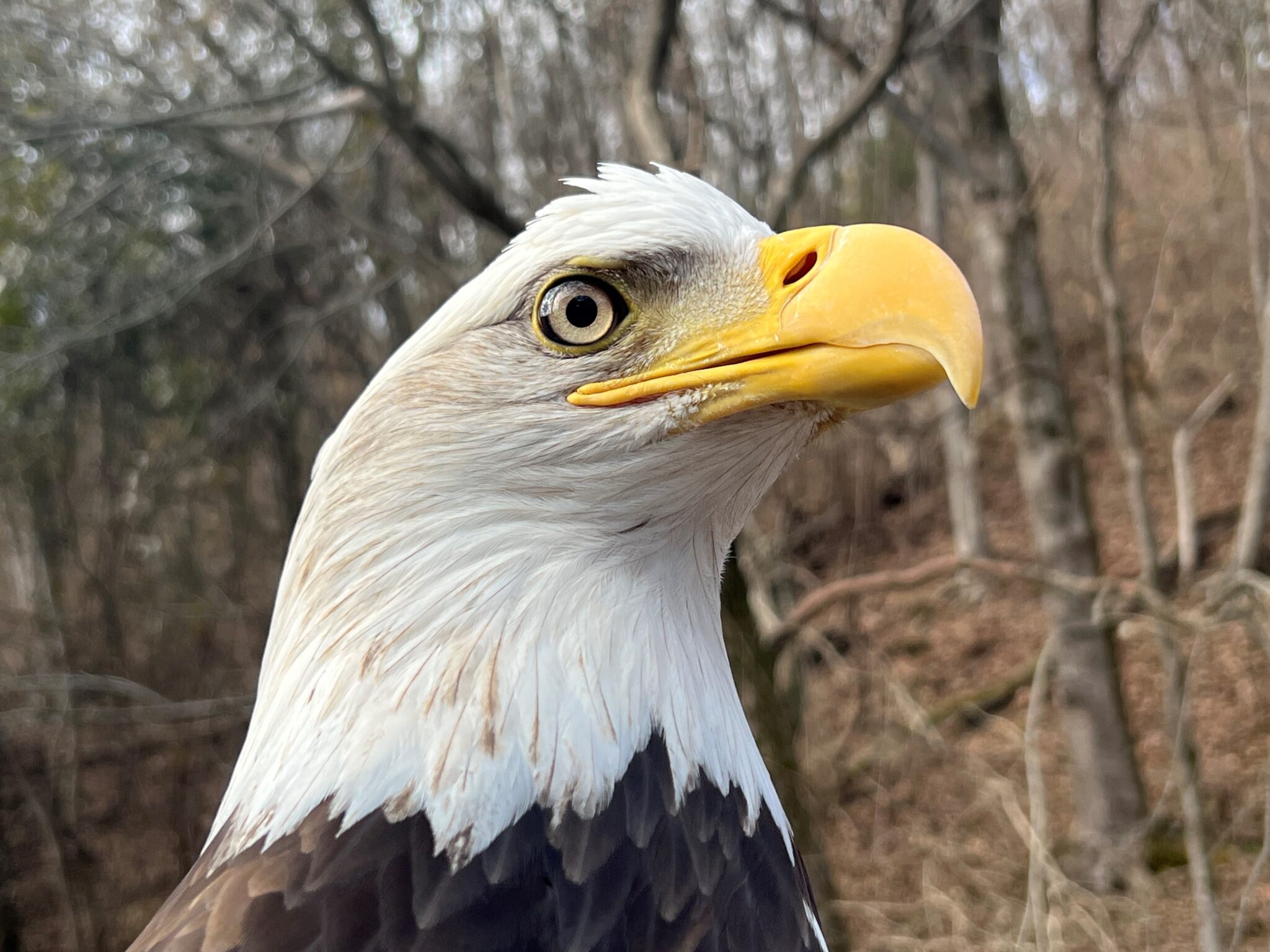 50th Anniversary of the Endangered Species Act Kick-Off at the Barbara ...