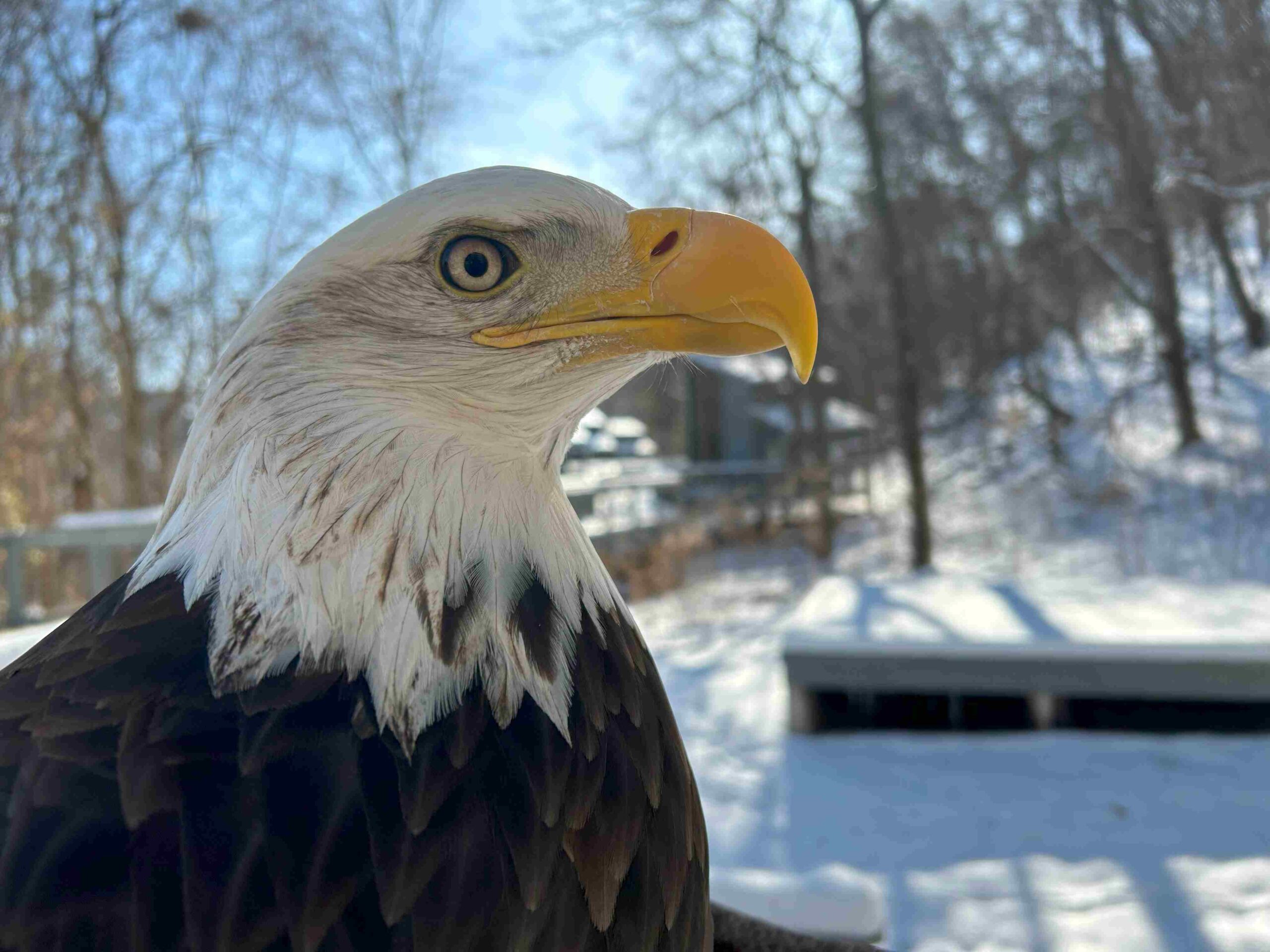 Barbara J. Mapp Aviary Education Center - Friends of Radnor Lake