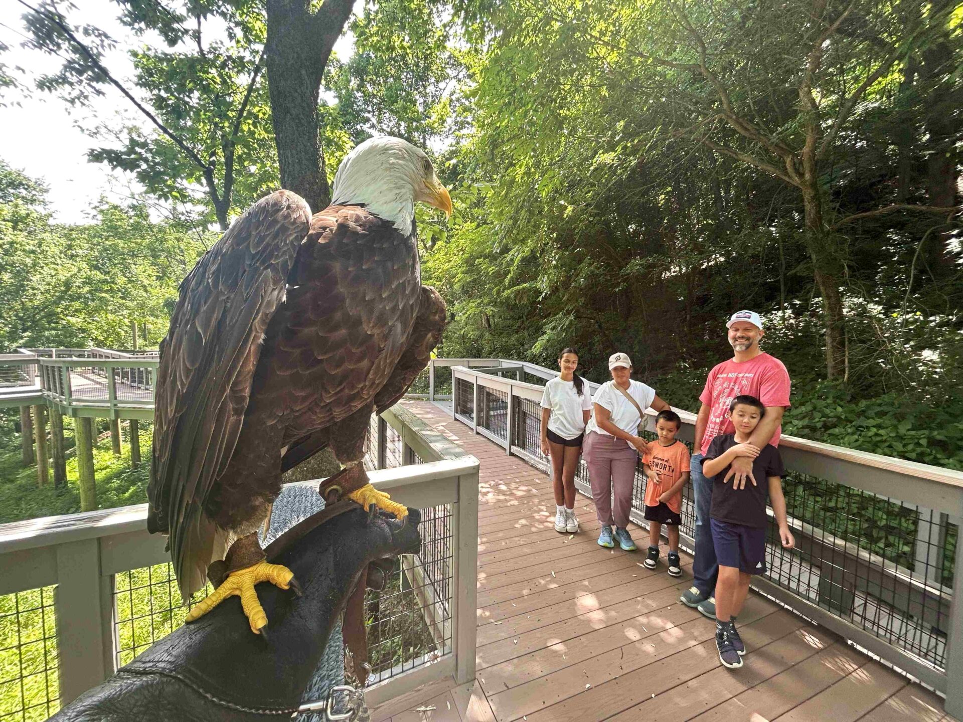 National Trails Day Weekend Kick-Off 2024: Barbara J. Mapp Aviary ...